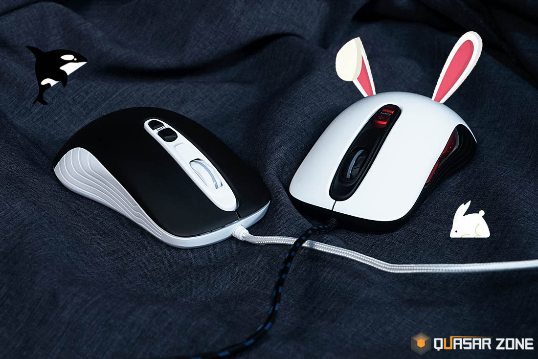 MAXTILL TRON G10 PROFESSIONAL | 게이밍 마우스 > 퀘이사 칼럼 | 퀘이사존