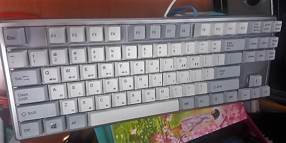 앱코 935P V2 45G 구매후기 > 키보드/마우스 | 퀘이사존 QUASARZONE