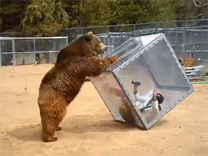 일본 예능.gif (4MB) > 유머게시판 | 퀘이사존