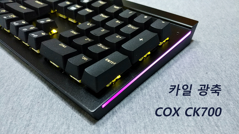 카일 광축이 적용된 완전방수, 방진 키보드 COX CK700 > 유저사용기/필테 | 퀘이사존 QUASARZONE