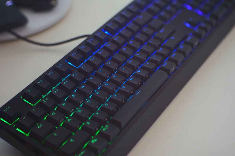 맥스틸 TRON G800K QS SILVER RGB 게이밍 키보드 > 유저 칼럼 | 퀘이사존