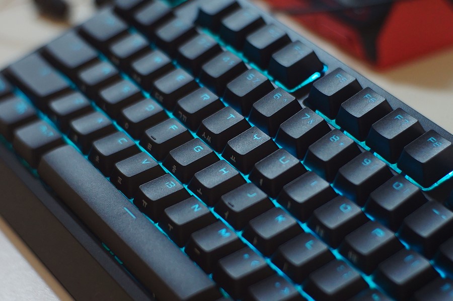 맥스틸 TRON G800K QS SILVER RGB 게이밍 키보드 > 유저 칼럼 | 퀘이사존