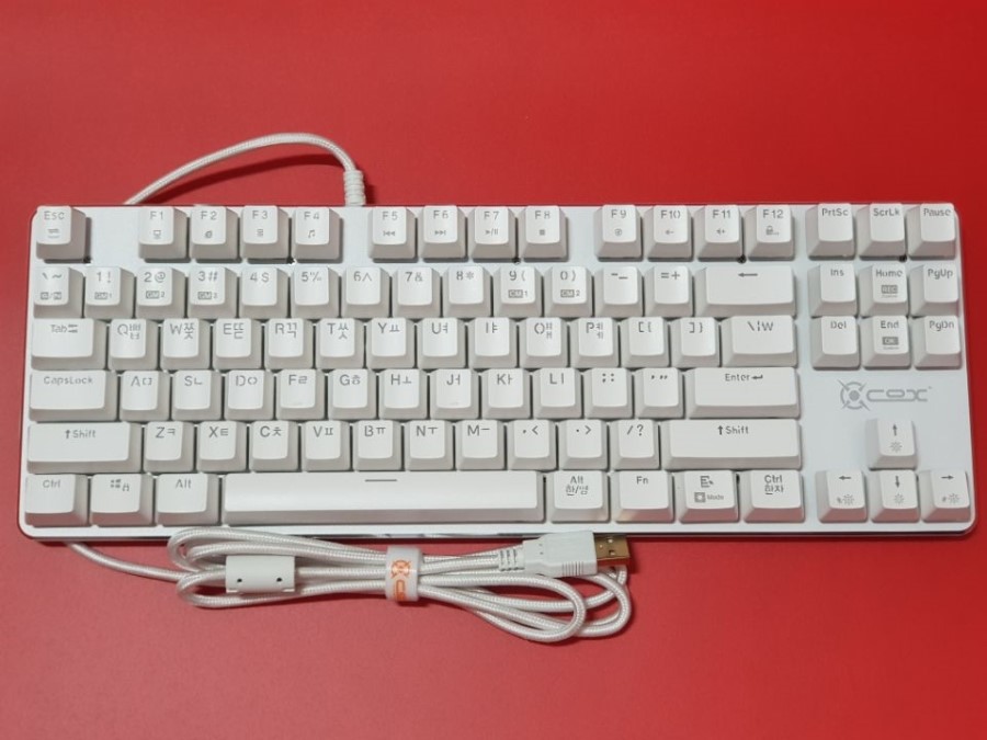 COX CK200 카일 광축 교체축 완전방수 LED 텐키리스 > 유저 칼럼 | 퀘이사존