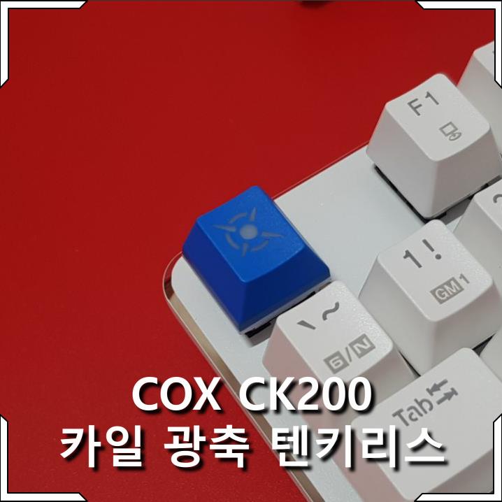 COX CK200 카일 광축 교체축 완전방수 LED 텐키리스 > 유저사용기/필테 | 퀘이사존 QUASARZONE