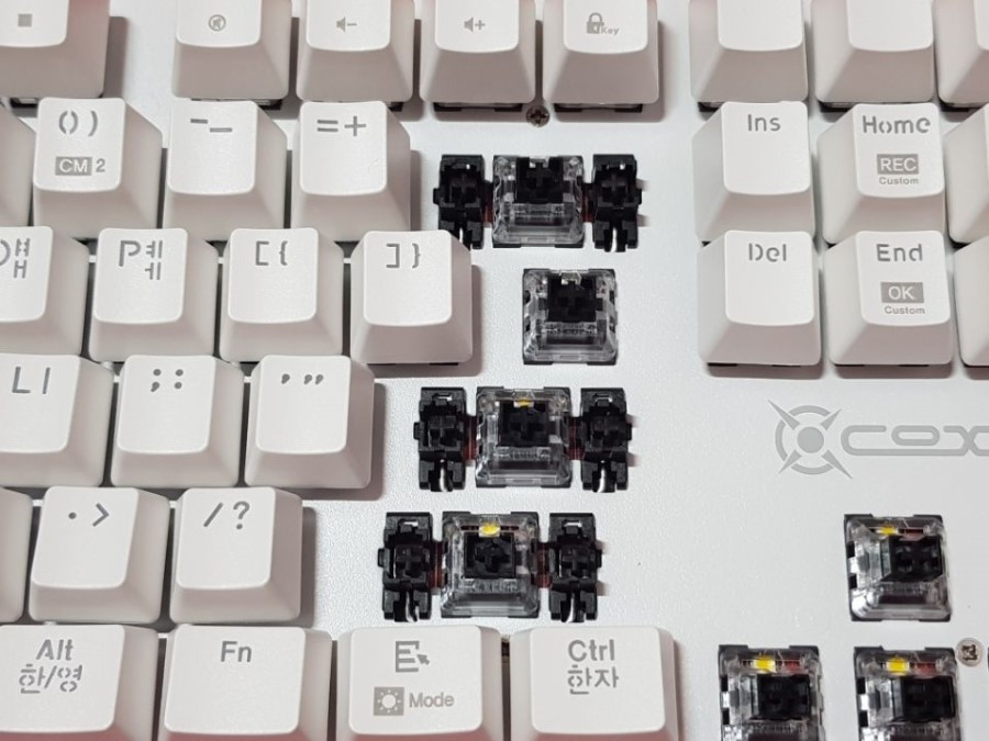 COX CK200 카일 광축 교체축 완전방수 LED 텐키리스 > 유저 칼럼 | 퀘이사존