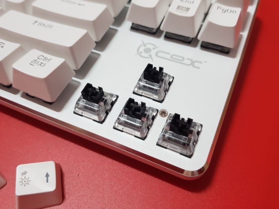 COX CK200 카일 광축 교체축 완전방수 LED 텐키리스 > 유저 칼럼 | 퀘이사존