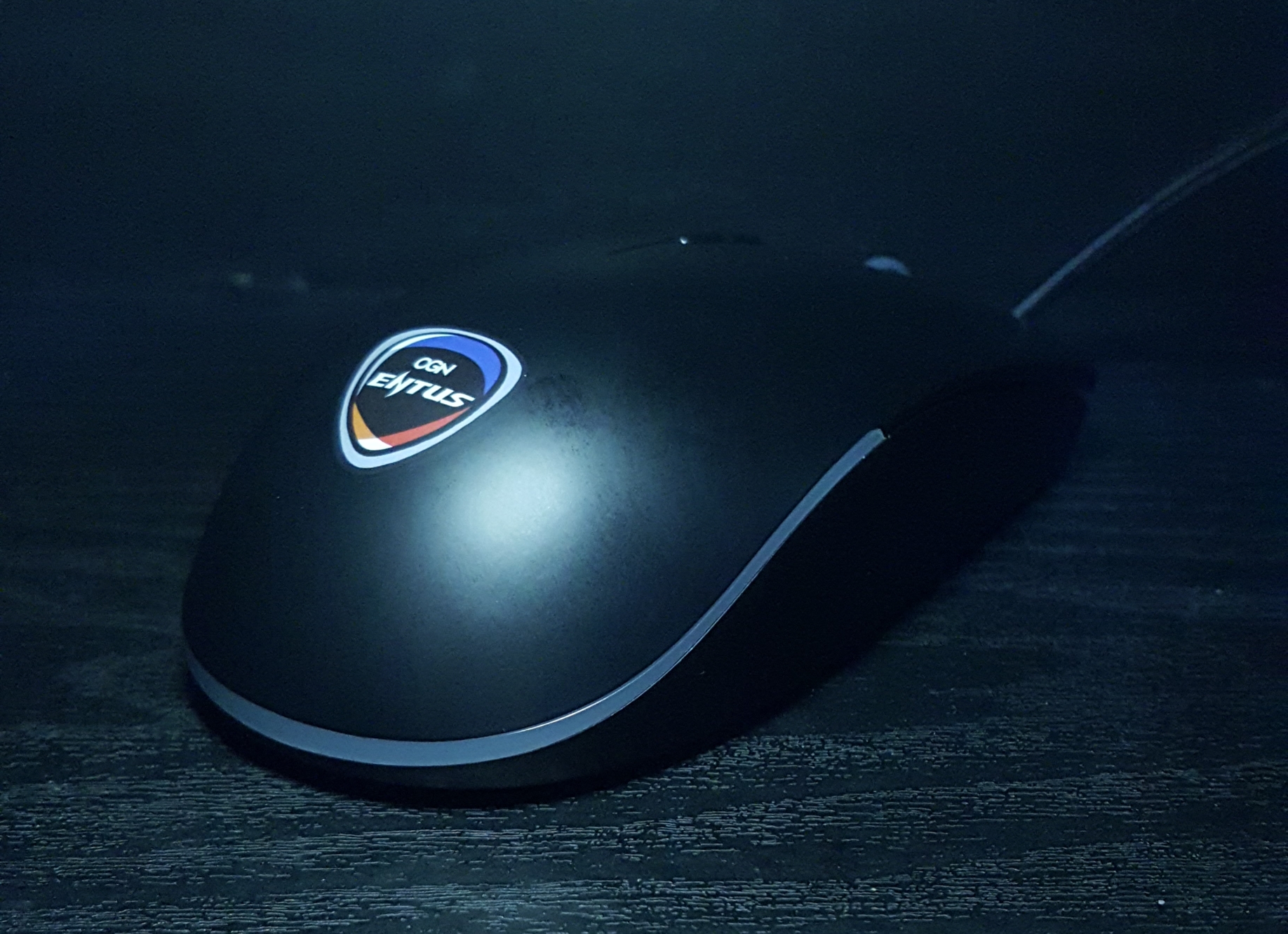 OGN-M25::OGN ENTUS BATTLE 게이밍 마우스 > 유저 칼럼 | 퀘이사존