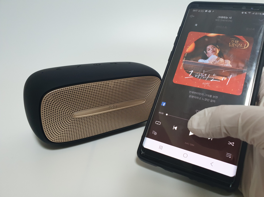 브리츠(Britz) BR-MP250 휴대용 블루투스 스피커 > 유저 칼럼 | 퀘이사존