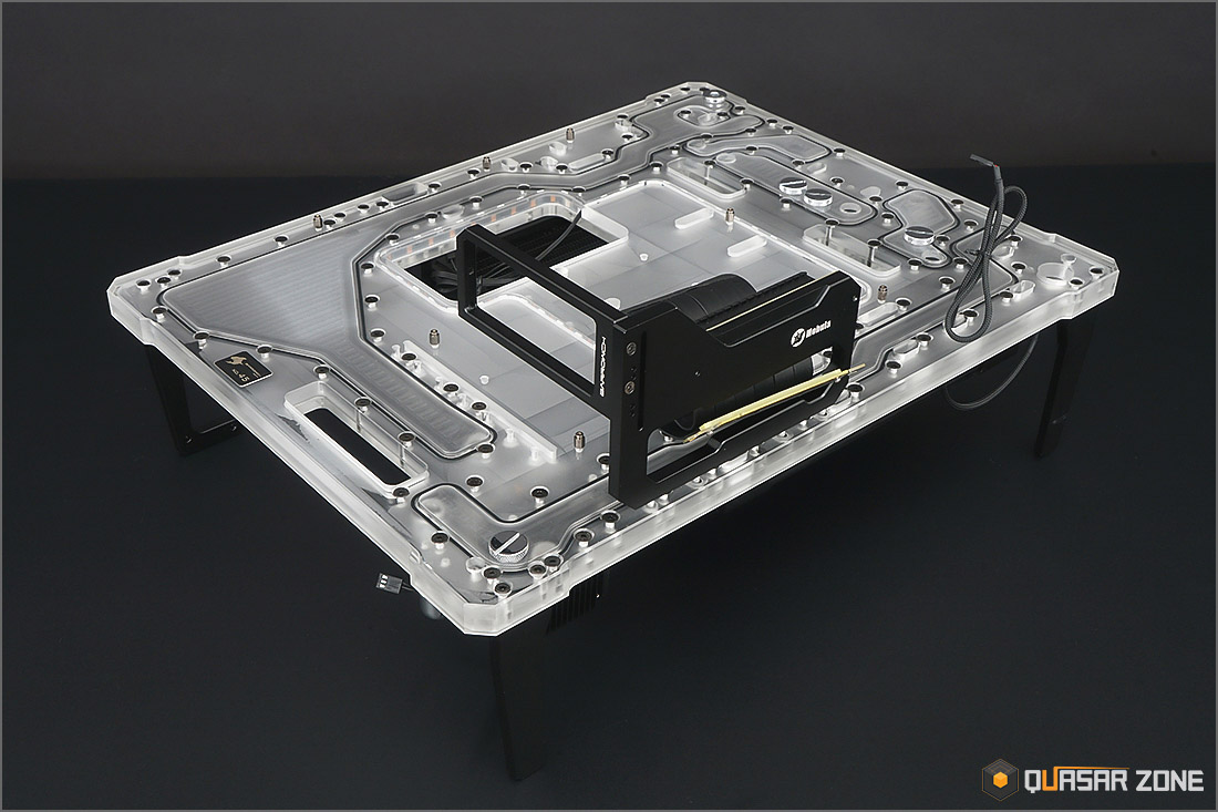Barrowch Rhopilema 수로판 케이스 > 퀘이사 칼럼 | 퀘이사존