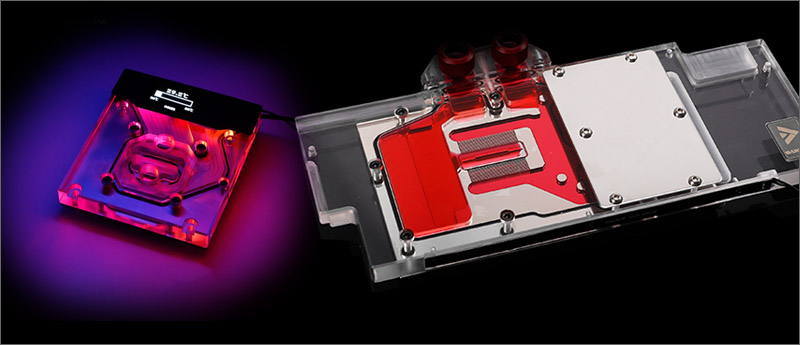 Barrowch Rhopilema 수로판 케이스 > 퀘이사 칼럼 | 퀘이사존