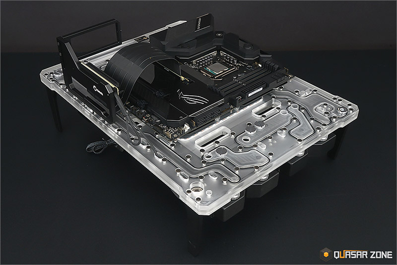 Barrowch Rhopilema 수로판 케이스 > 퀘이사 칼럼 | 퀘이사존