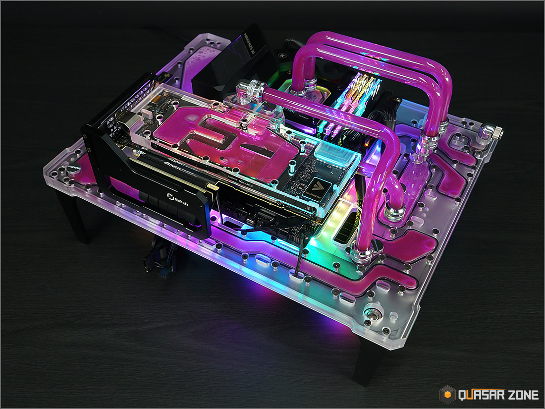 Barrowch Rhopilema 수로판 케이스 > 퀘이사 칼럼 | 퀘이사존