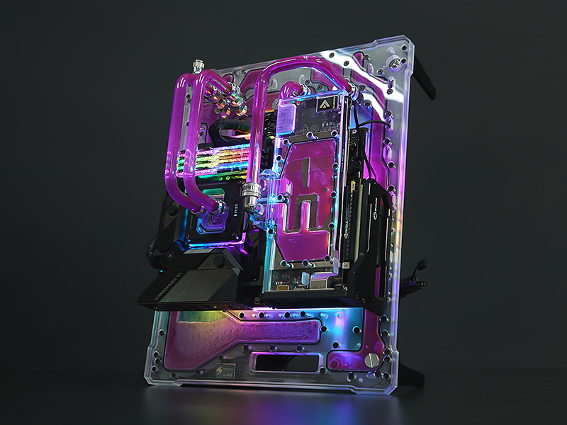 Barrowch Rhopilema 수로판 케이스 > 퀘이사 칼럼 | 퀘이사존